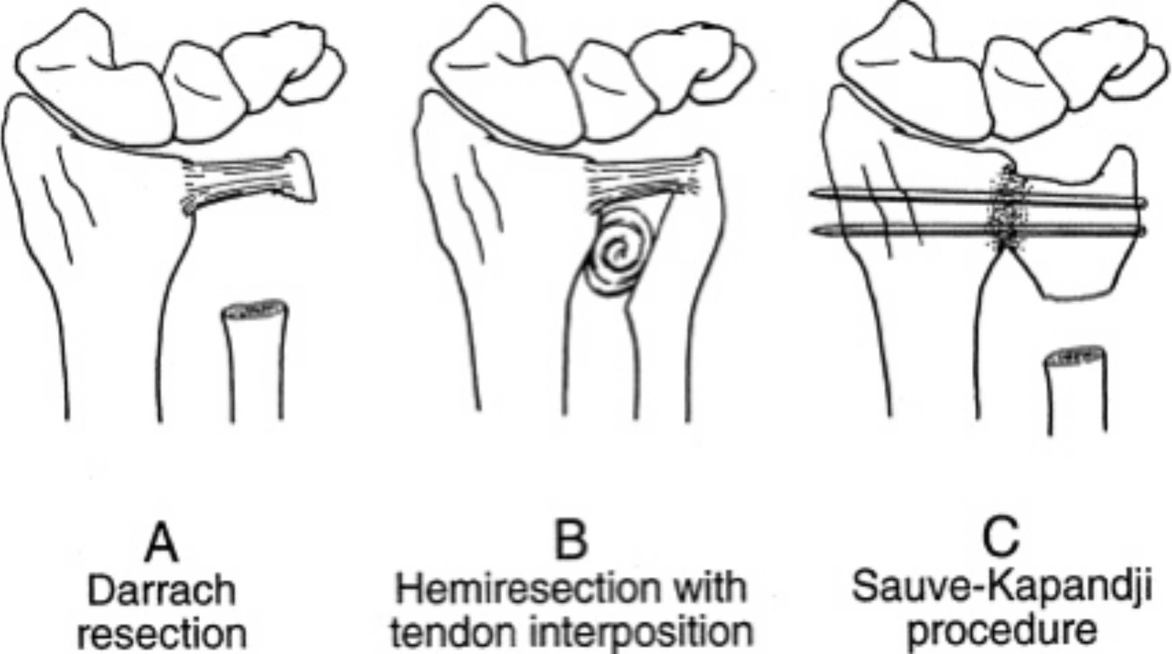 題目瀏覽 - 考古豹 CougarBot