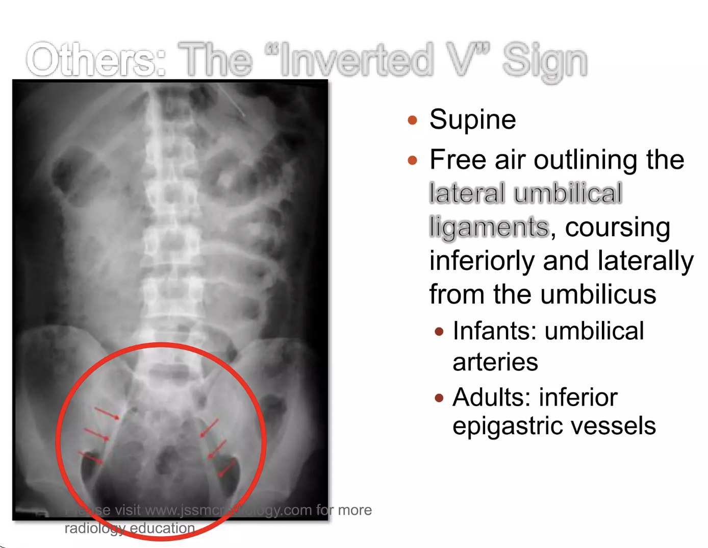 題目瀏覽 - 考古豹 CougarBot