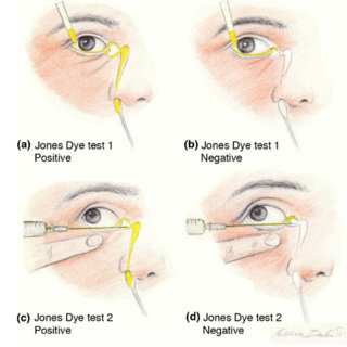 題目瀏覽 - 考古豹 CougarBot
